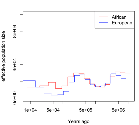 Tutorial: output looks different · Issue #17 · stschiff/msmc2 · GitHub
