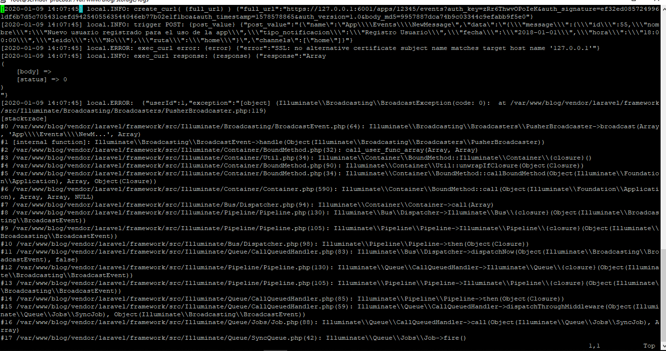Illuminate\Broadcasting\Broadcasters\PusherBroadcaster::broadcast :119 · Issue #298 · beyondcode ...