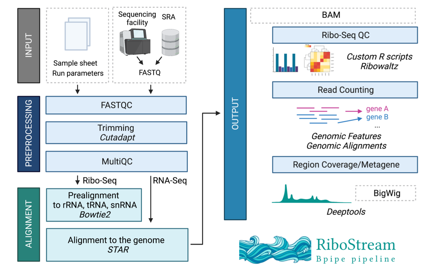 GitHub - ashakru/RiboStream_bpipe: Compact Bpipe pipeline for ...