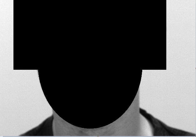 Running the code · Issue #1 · Justin900429/mimicking-annotation-micro ...