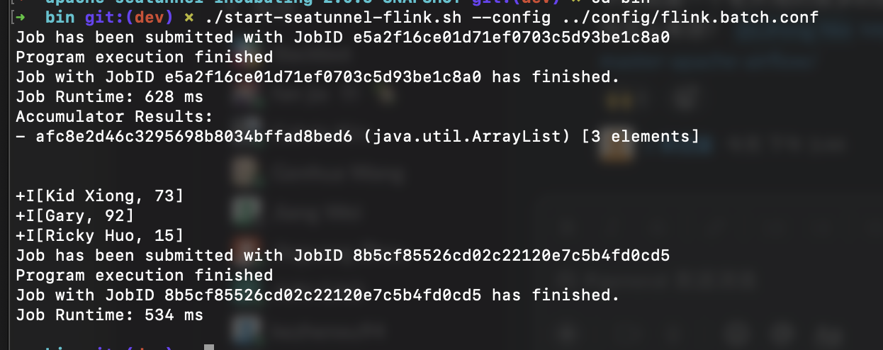 org.apache.flink.client.program.ProgramInvocationException · Issue #1535 · apache/seatunnel · GitHub