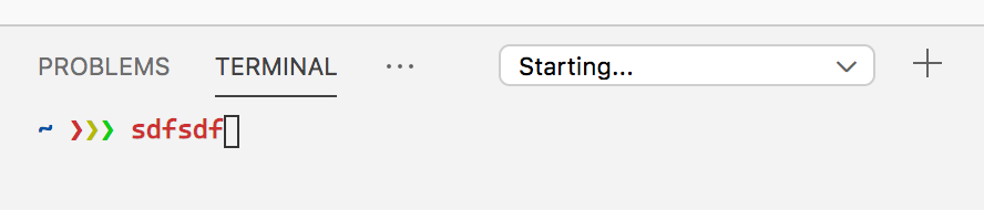 Terminal stuck on "starting" · Issue #117464 · microsoft/vscode · GitHub
