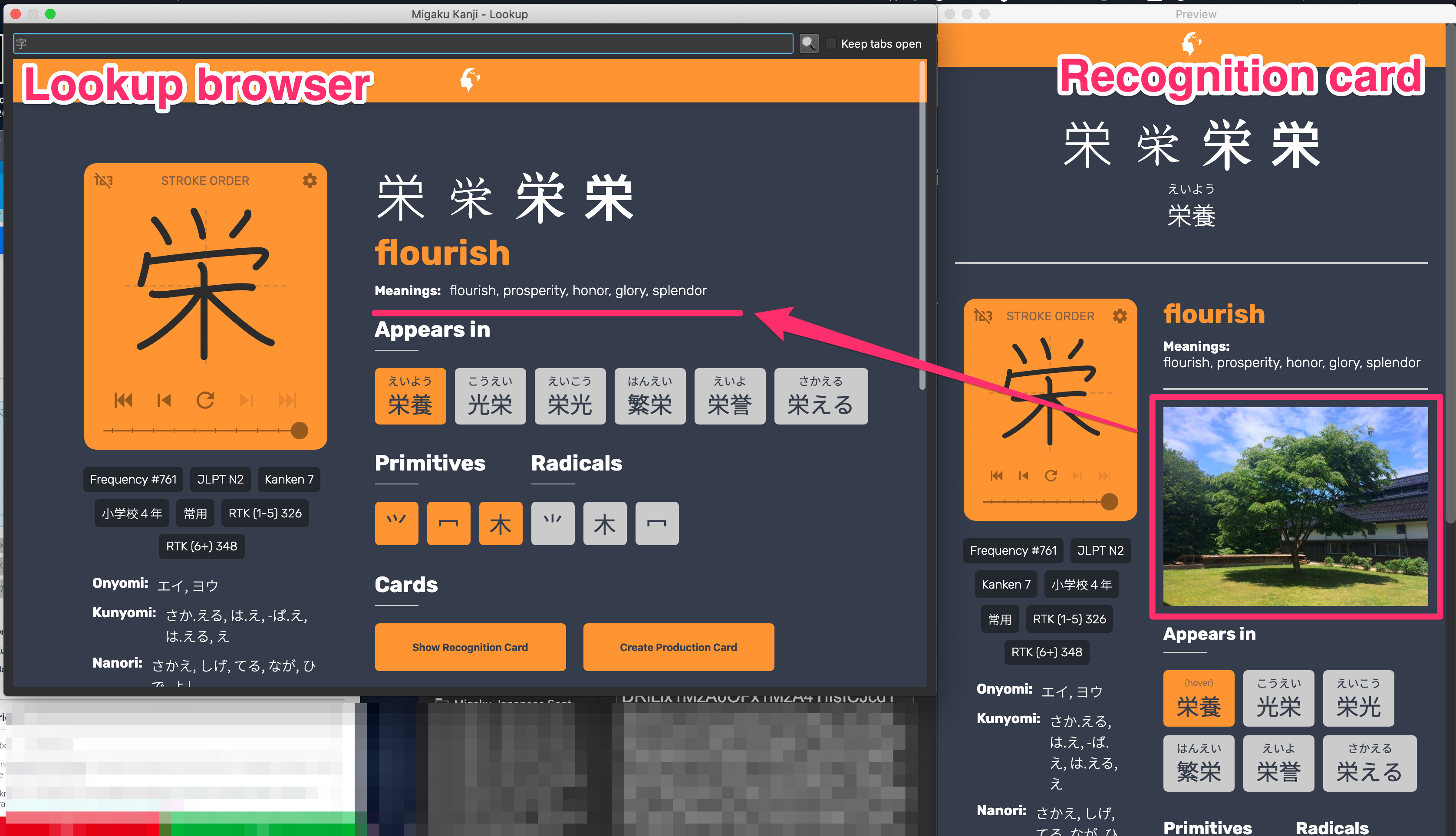 [FEATURE] Pull UserData into lookup browser · Issue #5 · migaku ...