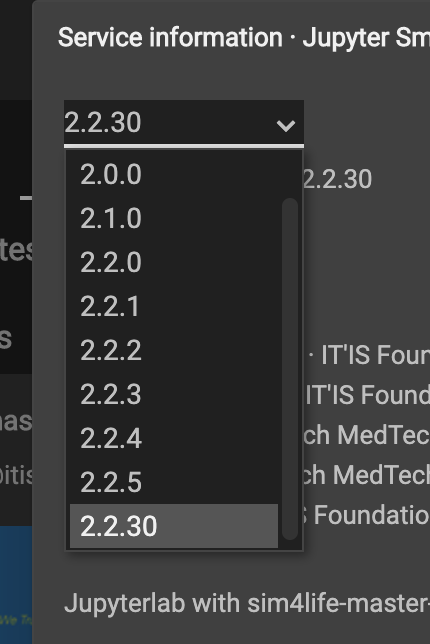 Jupyter displays "Directory not found" menu permanently · Issue #412 · ITISFoundation/osparc ...