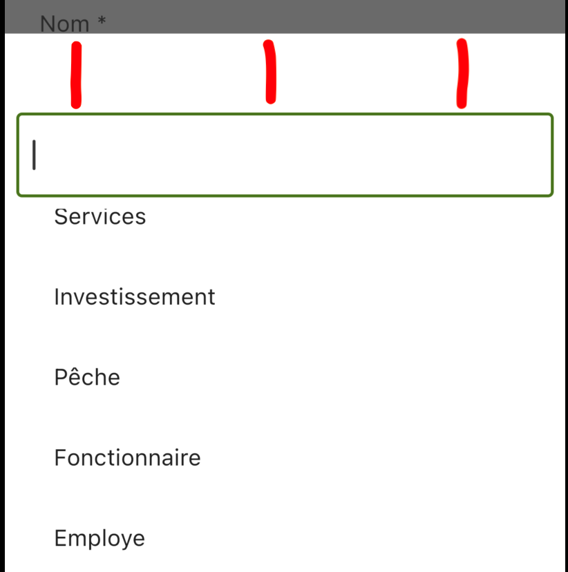 Modalbottomsheet Padding Or Sizedbox · Issue 443 · Salim Lachdhafdropdownsearch · Github 