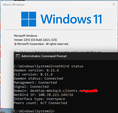Windows 11 Gets detected as Windows 10 · Issue #123 · netbirdio/dashboard · GitHub