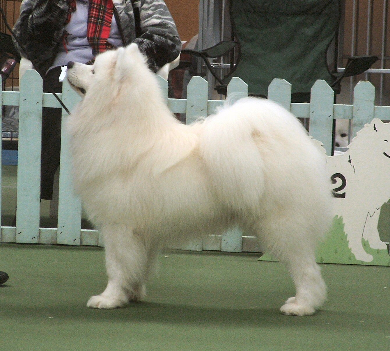 TurboJPEG API: Support 4:1:0 and 2:4 (rotated 4:1:0) subsampling · Issue #436 · libjpeg-turbo ...