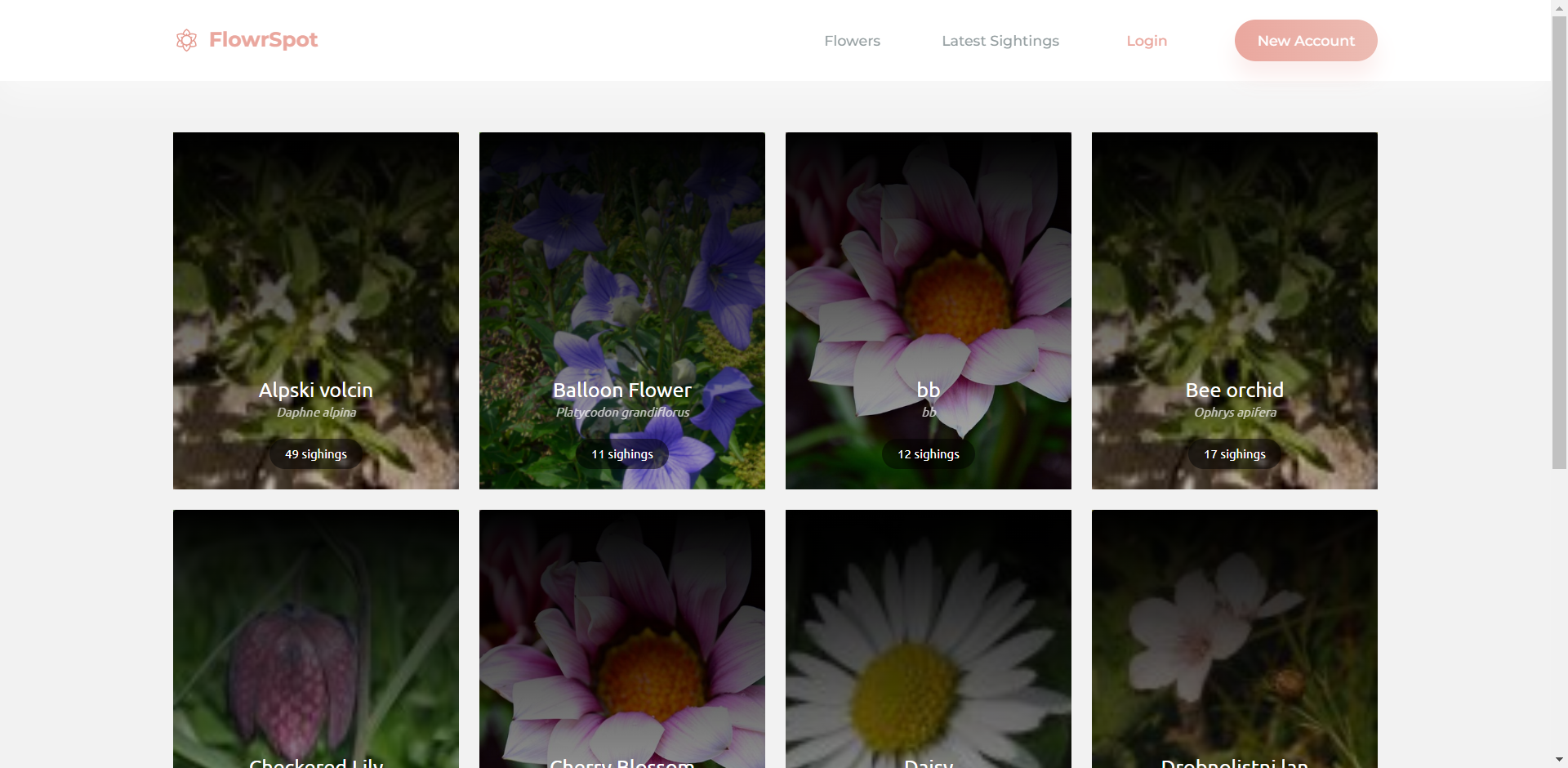 GitHub - Duranovic/FlowSpot