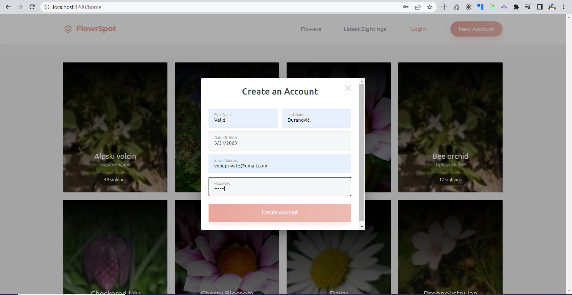 GitHub - Duranovic/FlowSpot