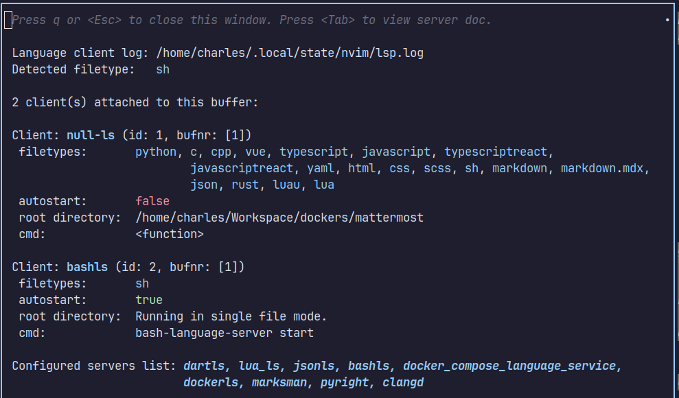 Lsps re-attach twice · Issue #666 · ayamir/nvimdots · GitHub