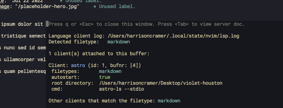 🐛 BUG: LSP Fails to Parse Markdown Files (Neovim) · Issue #495 · withastro/language-tools · GitHub
