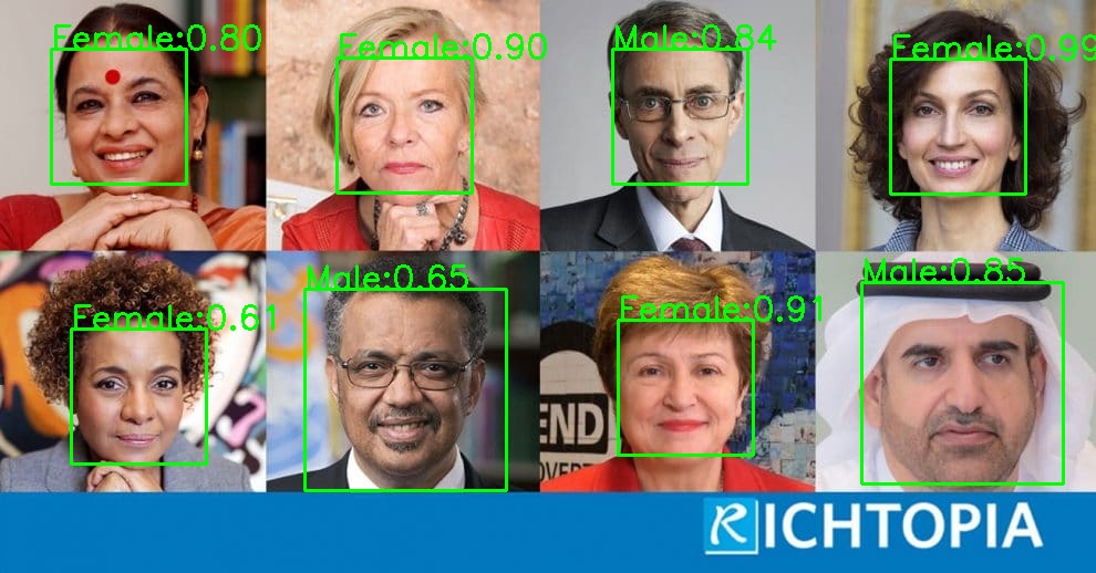 GitHub - sarthakking5/Gender-Classification-App: The Gender ...