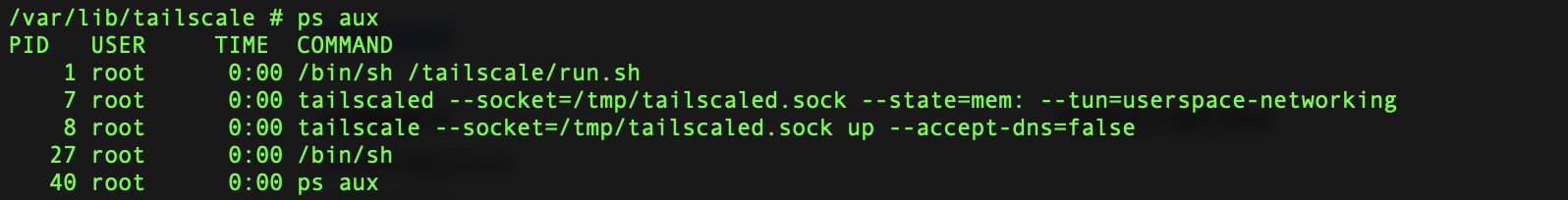 FR: Run non-Ephemeral docker container · Issue #4913 · tailscale/tailscale · GitHub