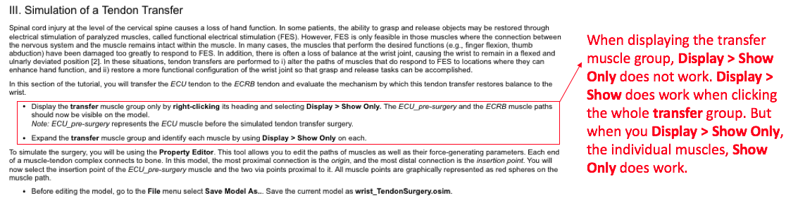 Model Display Issues Showhide Muscles For Tutorials · Issue 406 · Opensim Orgopensim Gui