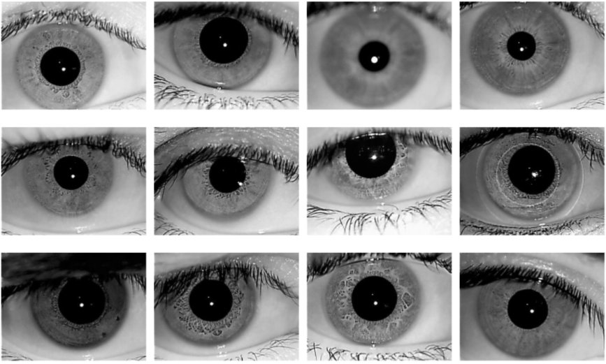 GitHub - IamMRM/Detection-and-Recognition-of-Iris-Dataset