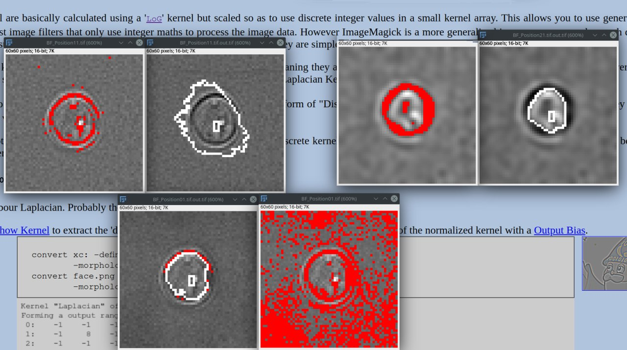 DoG kernel might improve segmentation · Issue #9 · darksideoftheshmoo ...