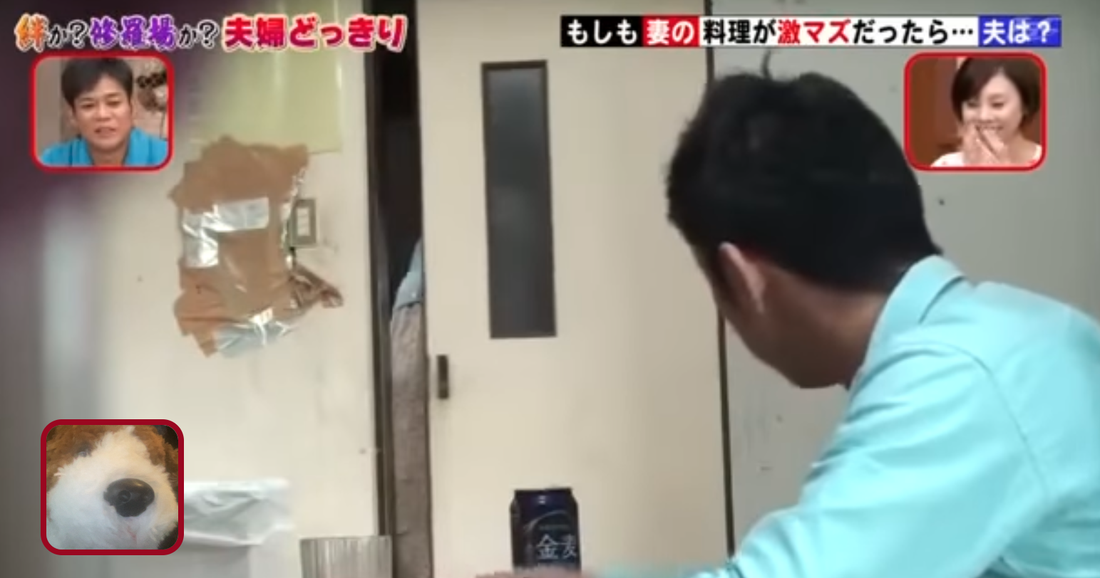 GitHub - fama-623/Japanese-TV-Reaction-Cam: JavaScript web app where ...