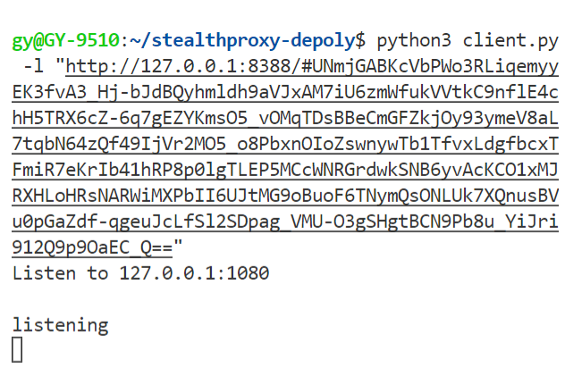GitHub - cmpt733/StealthProxy-handin