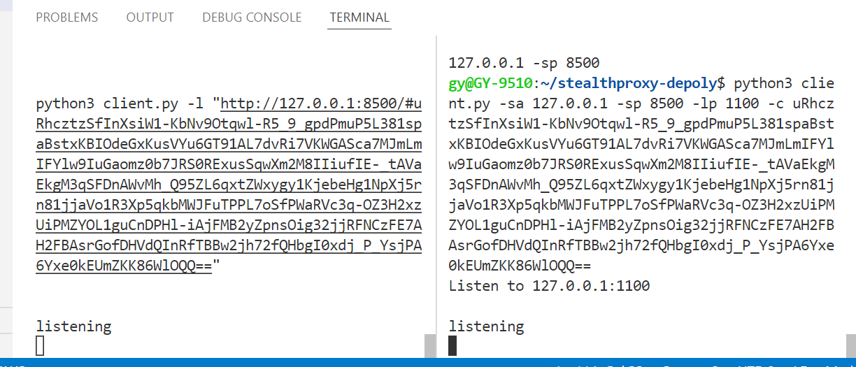 GitHub - cmpt733/StealthProxy-handin