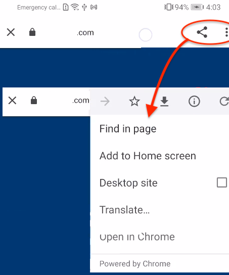 Hide The Url When We Open The Page · Issue 687 · Openid Appauth Android · Github