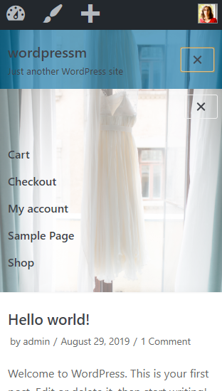 Doubled closing icons for toggle menu · Issue #723 · Codeinwp/neve · GitHub