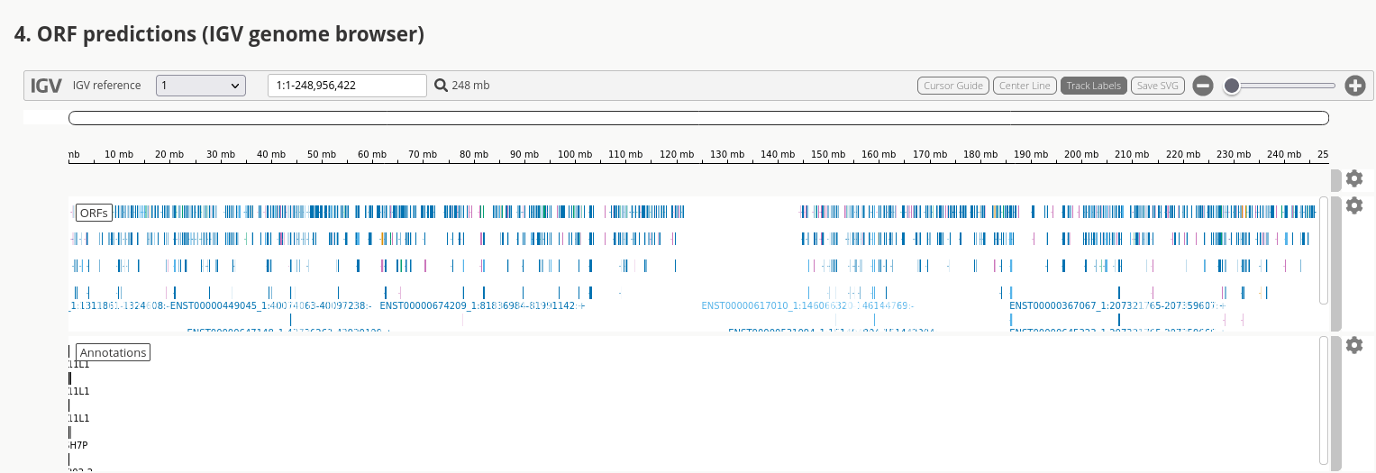 IGV (app) GTF track not always visible · Issue #142 · dieterich-lab/rp-bp · GitHub