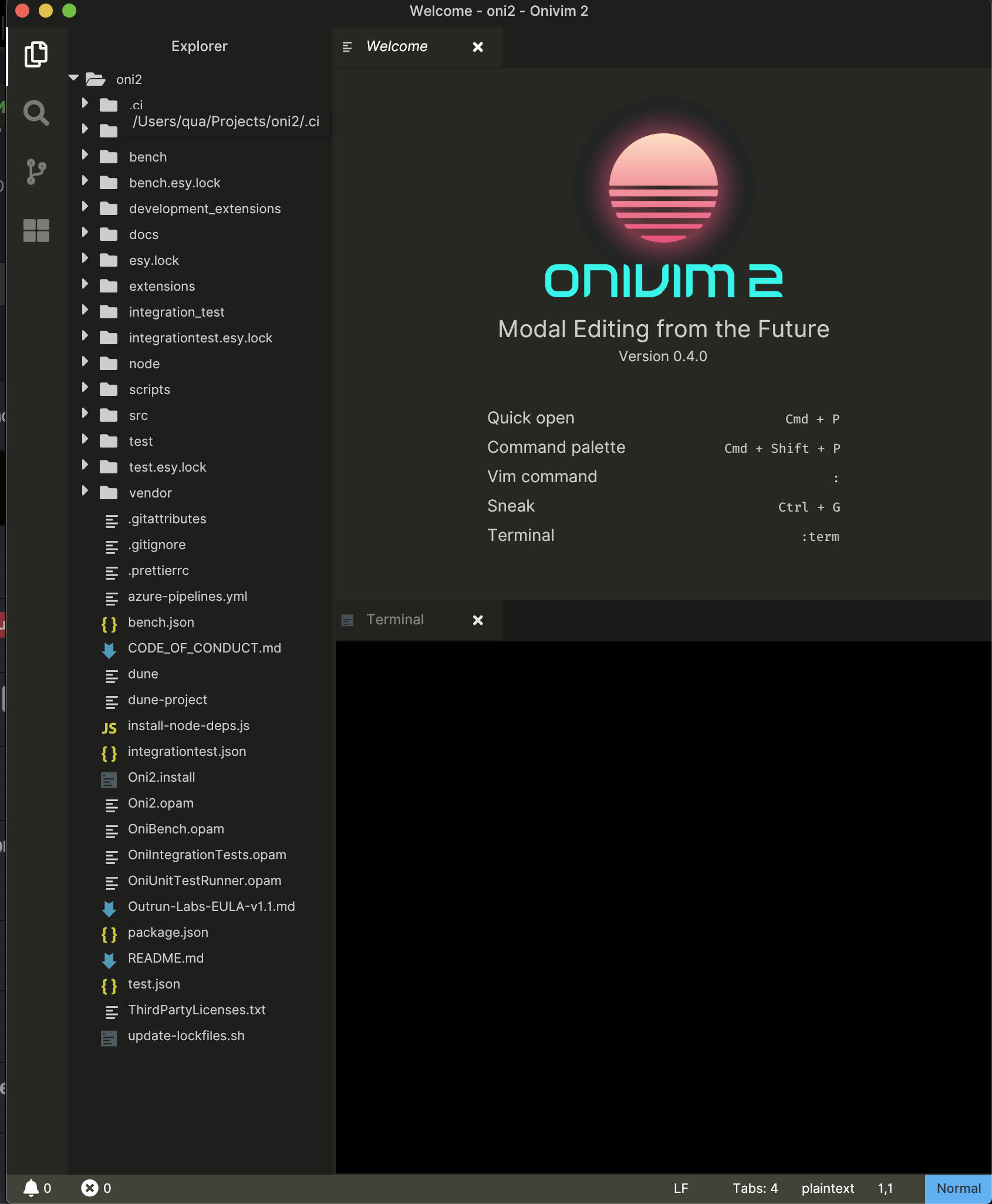Terminal opening up blank · Issue #1648 · onivim/oni2 · GitHub
