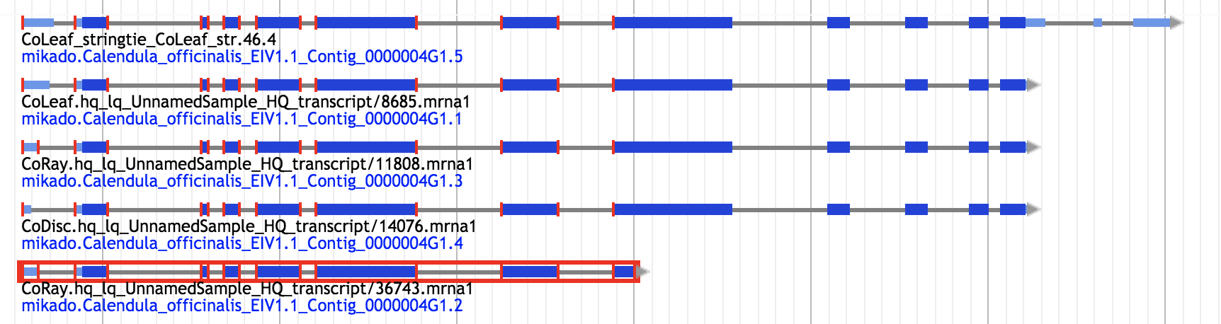 BUG "redundant" transcript · Issue #267 · EI-CoreBioinformatics/mikado · GitHub