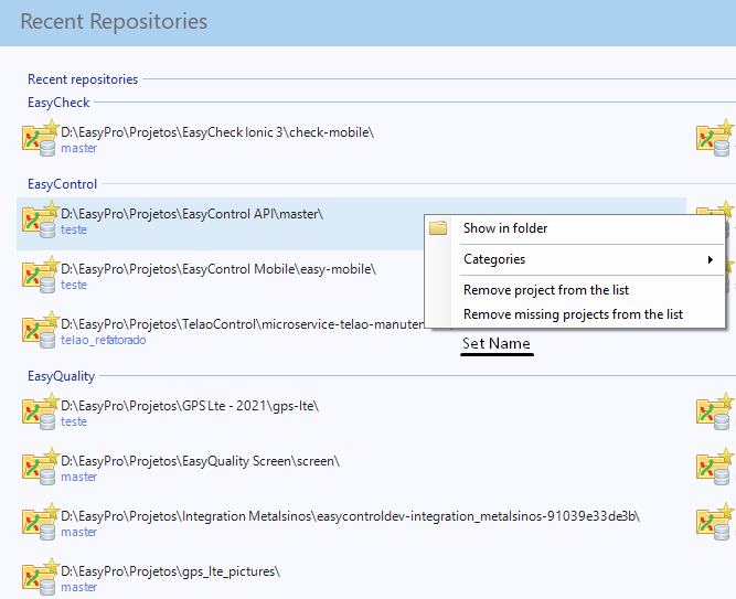 Feature Request: Named Repository in "Recent Repositories" · Issue ...