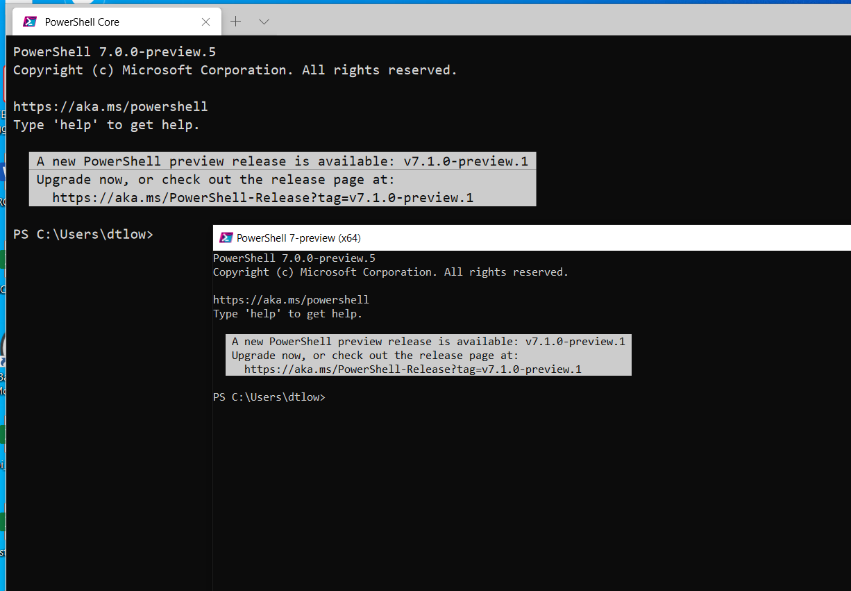Found multiple profiles with the same GUID in your settings file ...