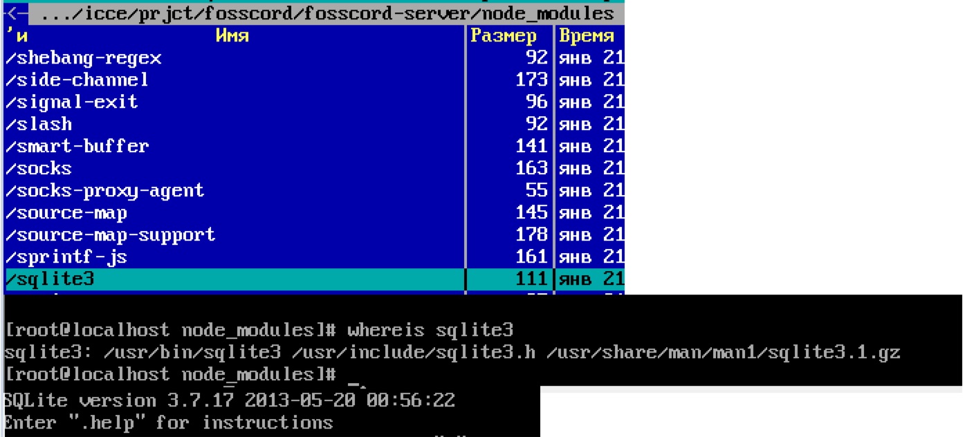 SQLite package has not been found installed · Issue #964 · spacebarchat/server · GitHub