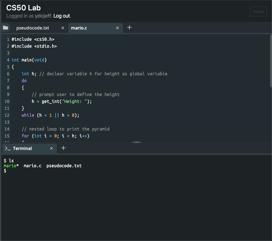 Brave browser can't show the words while typing in terminal of CS50 ...