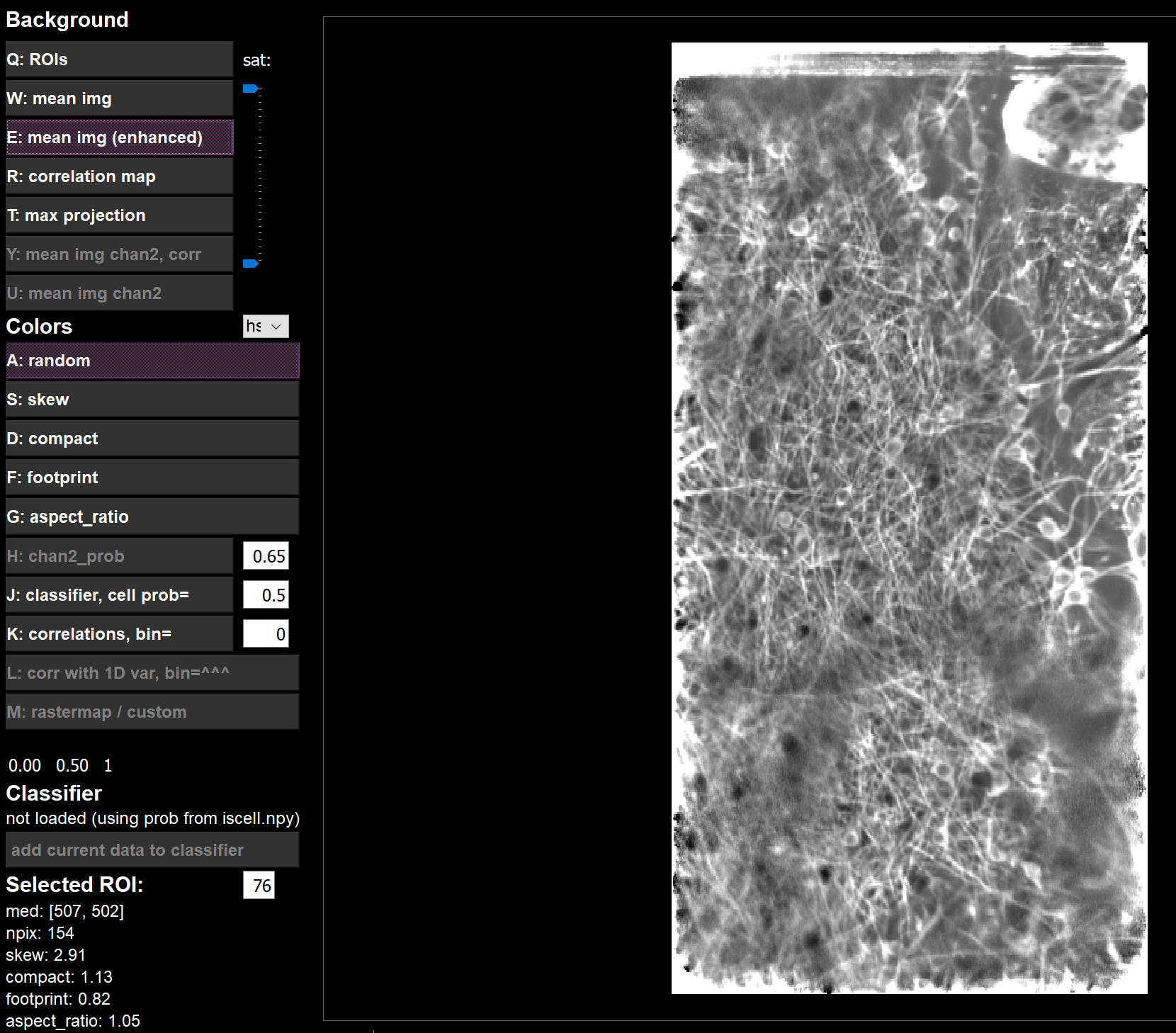 meanImg, meanImgE source error in skipping registration · Issue #918 · MouseLand/suite2p · GitHub