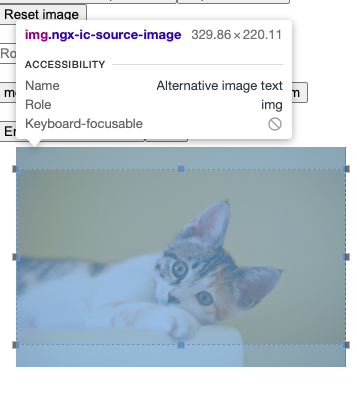 Can see little line of red background when I shouldn't be seeing any · Issue #572 · Mawi137/ngx ...