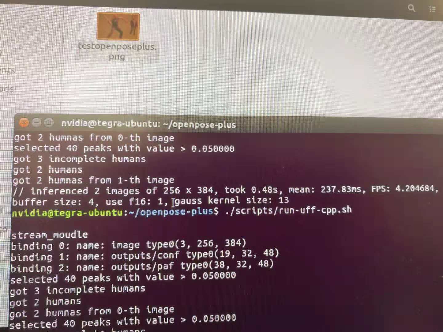 tx2 testing · Issue #156 · tensorlayer/HyperPose · GitHub