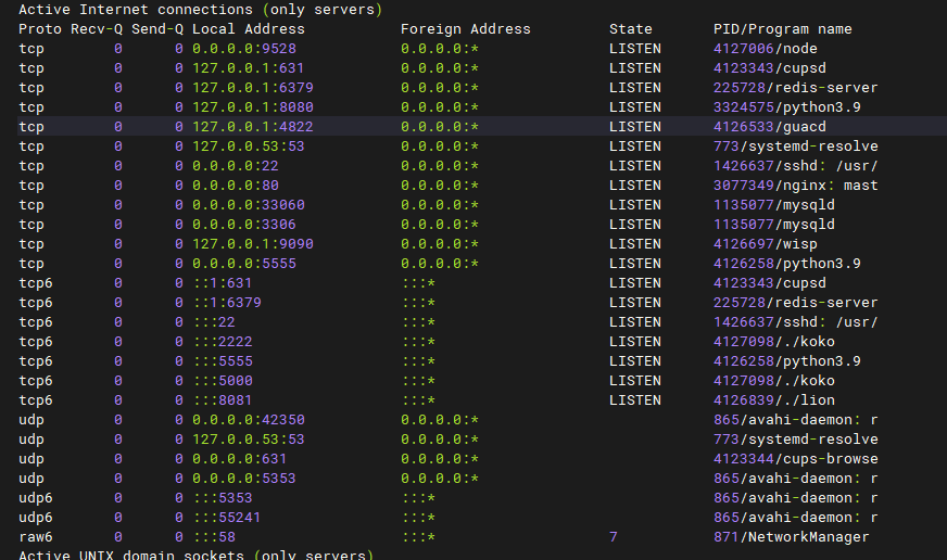 [Bug] web终端访问website黑屏，rdp3389正常-源代码部署 · Issue #10393 · jumpserver ...