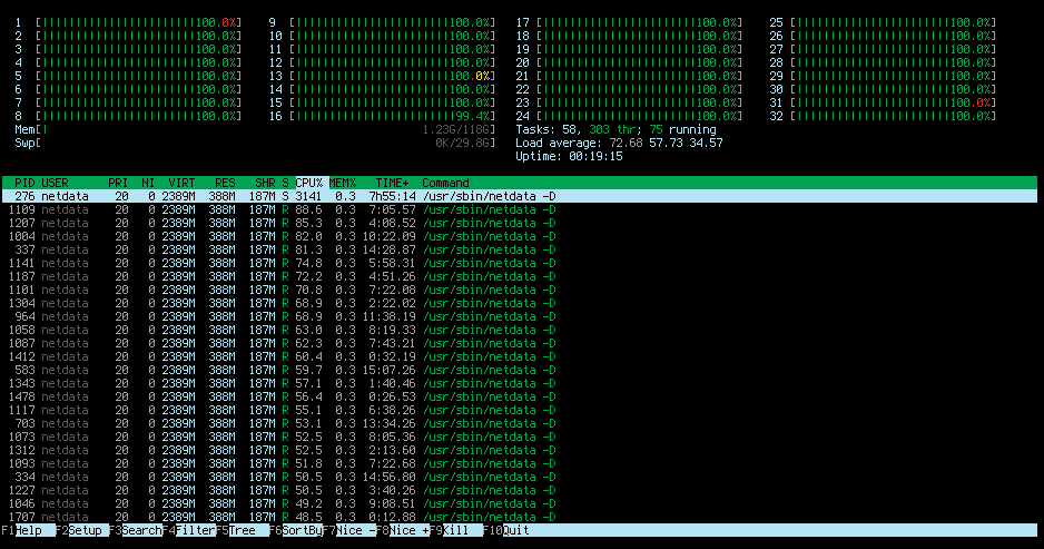 Netdata Running At 100 Cpu When The Master Gets Online After Some Time 
