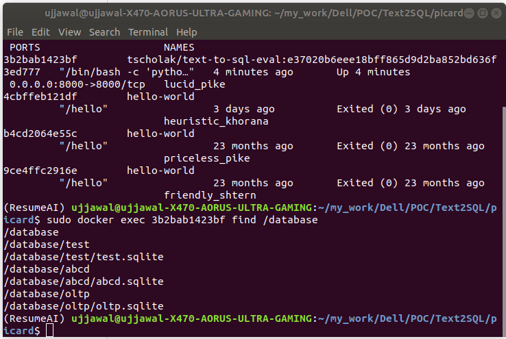 Error : Could not open database file in serving mode · Issue #43 · ServiceNow/picard · GitHub