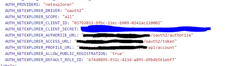 Implementing custom oauth2 provider · Issue #12151 · directus/directus · GitHub