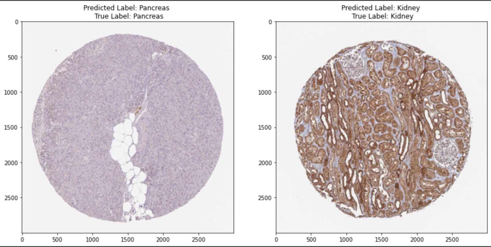 GitHub - ajinkya98/CVProject