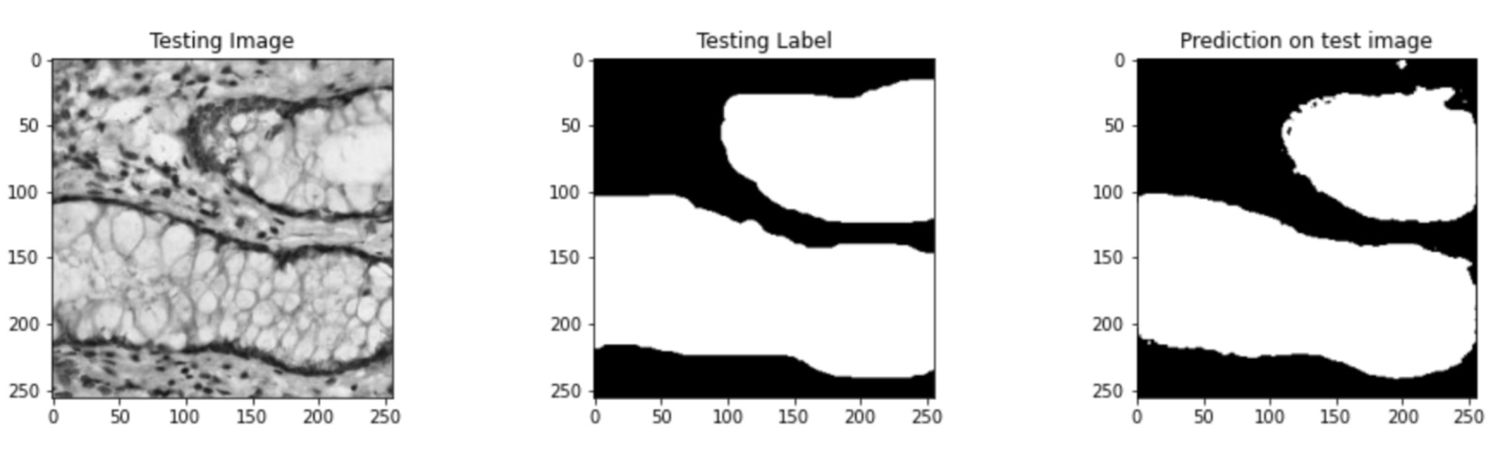 GitHub - ajinkya98/CVProject