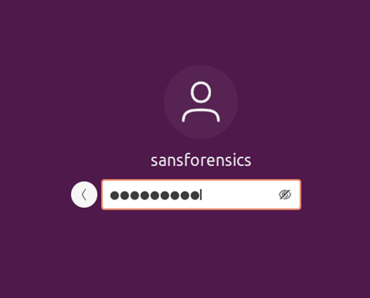 GitHub - rrmarinho/dfirvms: Passos para preparação de VMs Windows 10 e ...