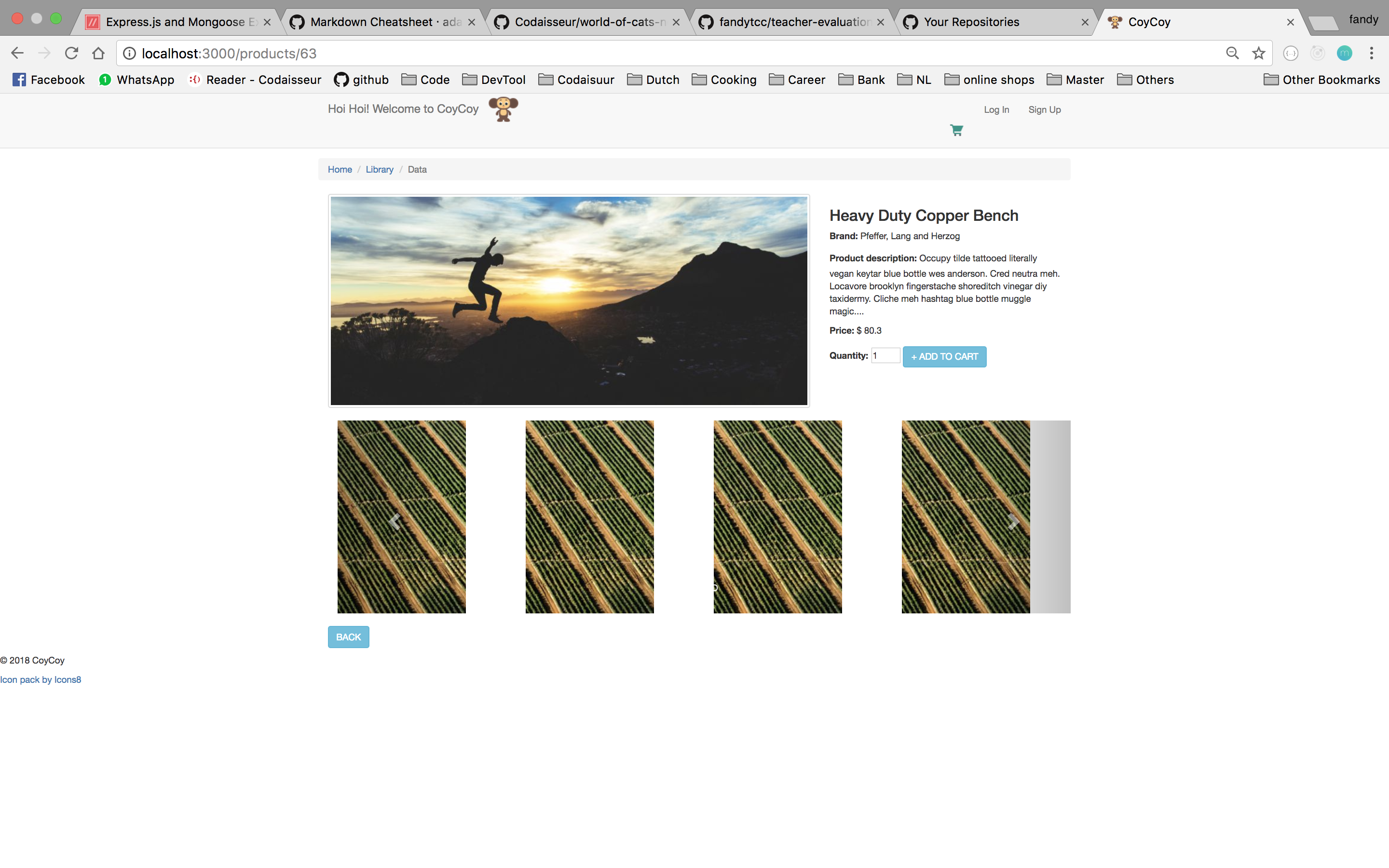 GitHub - fandytcc/CoyCoy
