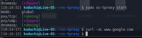 启动ss-redir，tcp被监听，但是无法打开google · Issue #118 · zfl9/ss-tproxy · GitHub
