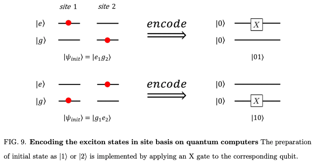 Efficient Quantum Simulation of Open Quantum System Dynamics on Noisy Quantum Computers · Issue ...