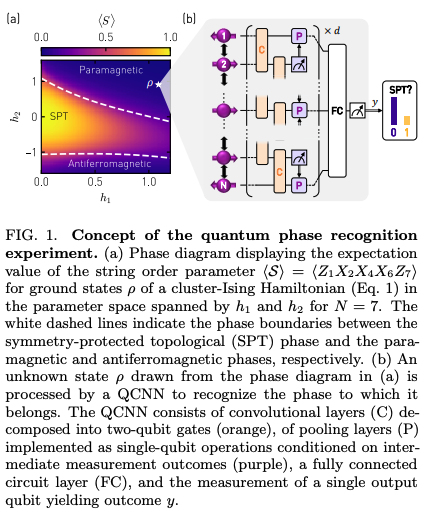 Realizing Quantum Convolutional Neural Networks on a Superconducting Quantum Processor to ...