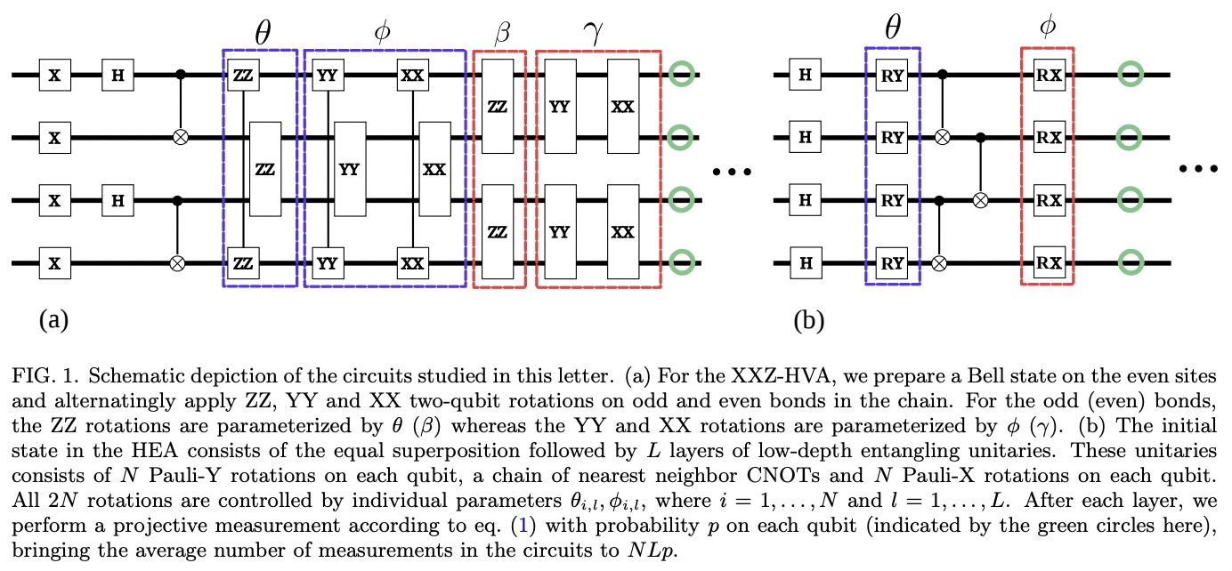 Measurement Induced Entanglement Phase Transitions In Variational Quantum Circuits · Issue 1025 8108