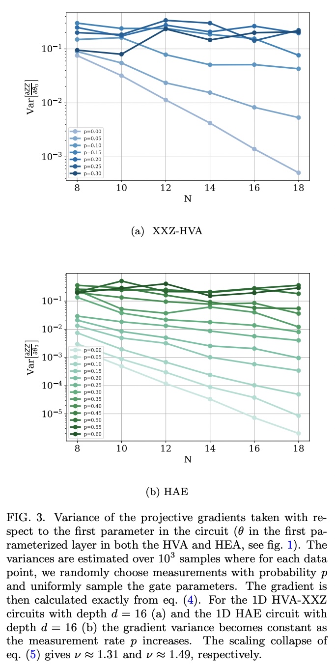 Measurement-induced entanglement phase transitions in variational quantum circuits · Issue #1025 ...