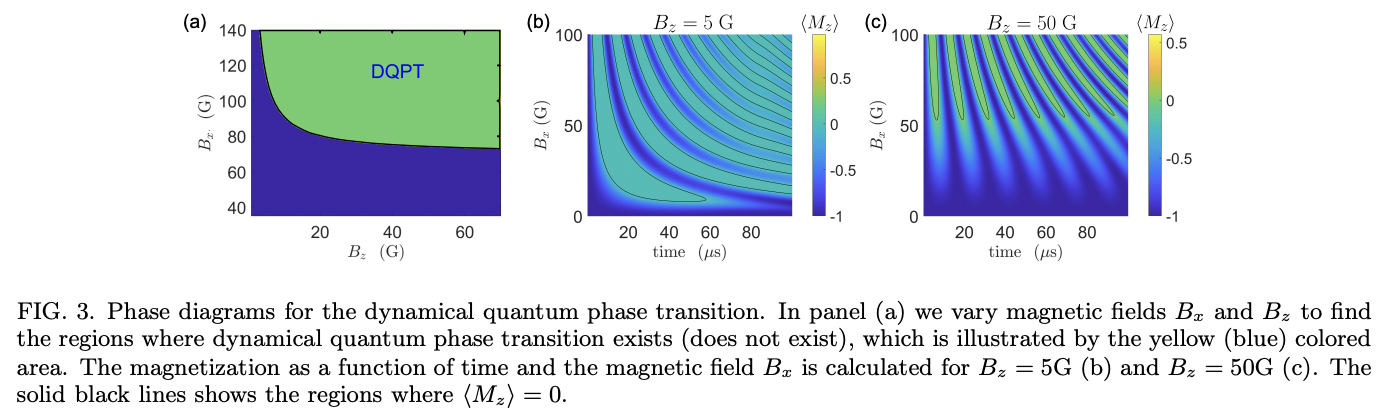 Dynamical quantum phase transition in diamond: applications in quantum ...