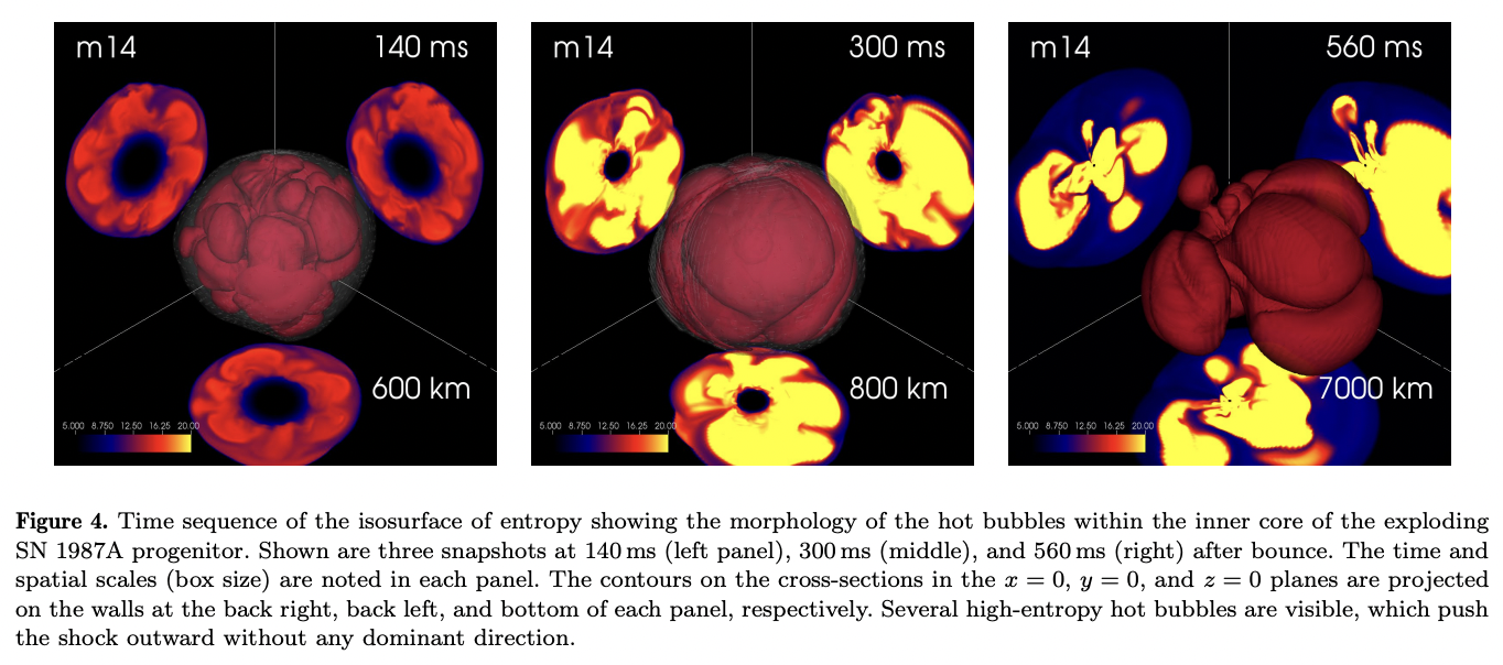 Three-dimensional simulation of a core-collapse supernova for a binary ...